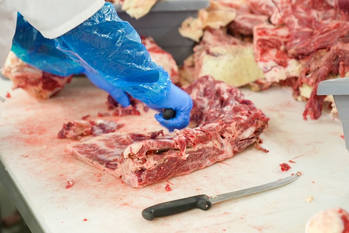 What Cuts To Get When Butchering A Pig: The Complete Guide